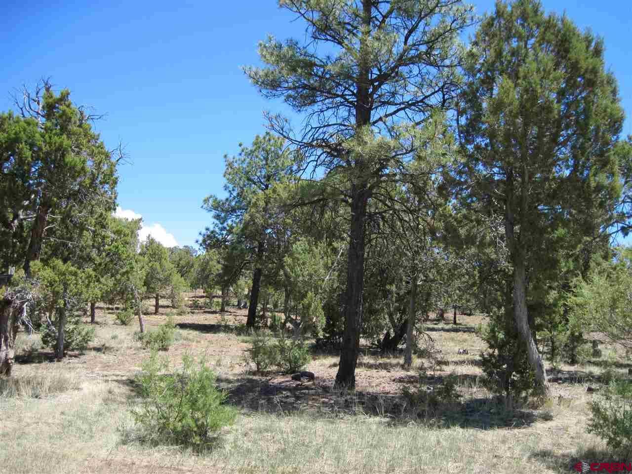 TBD L2 Squaw Apple, Durango, CO 81301 - SOLD LISTING | MLS # 777563